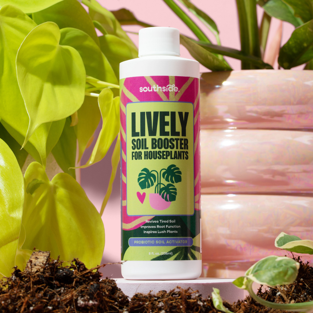 Lively Soil Conditioner - Booster for Houseplants