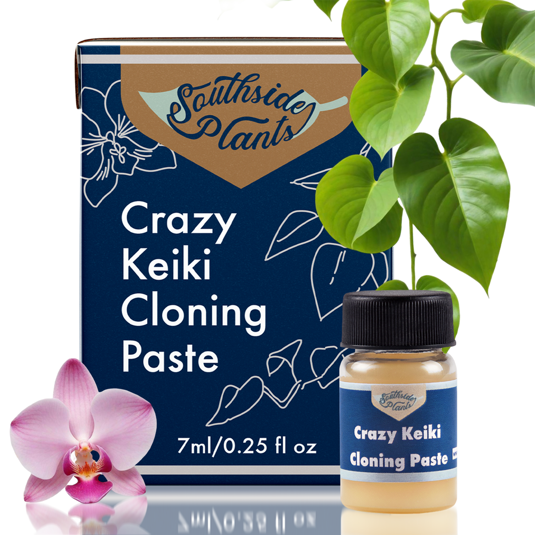 Houseplant Supplies | Keiki Paste | Southside Plants