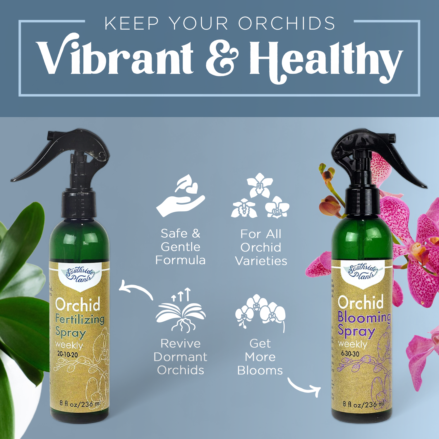 Orchid Fertilizing & Blooming Sprays – Southside Plants