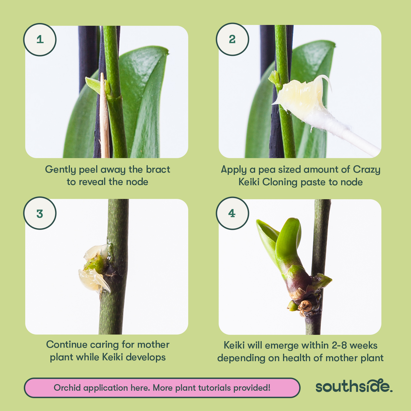 The Original Crazy Keiki Cloning Paste