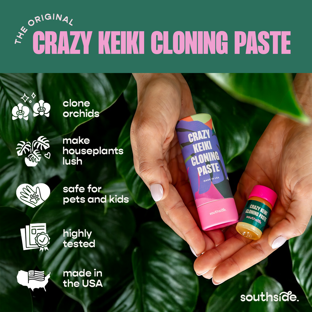 The Original Crazy Keiki Cloning Paste