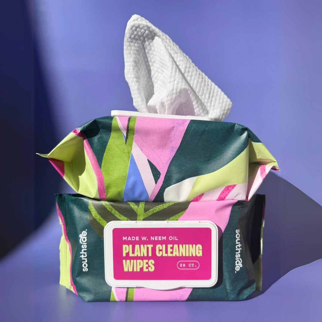 Plant Wipes for Shiny Healthy Houseplant Leaves