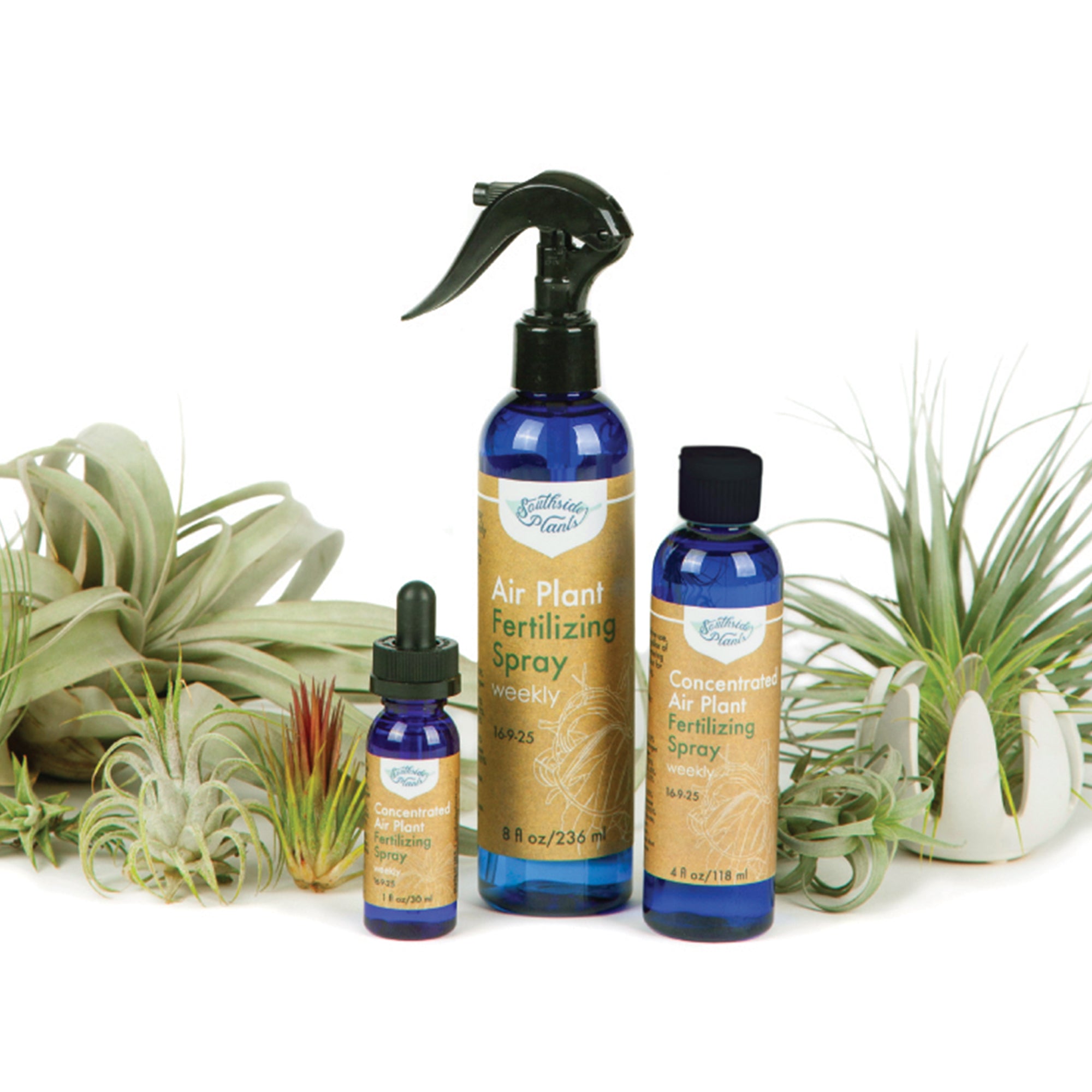 Air Plant Fertilizing Spray & Soak | Southside Plants