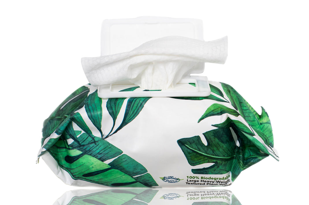 Houseplant Supplies | Keiki Paste | Southside Plants